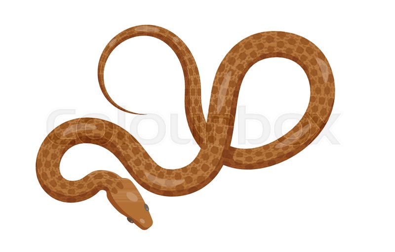 Curved slither python top view icon. ... | Stock vector | Colourbox