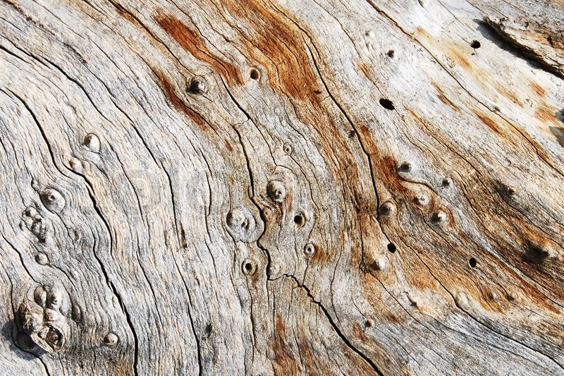 Wood | Stock image | Colourbox