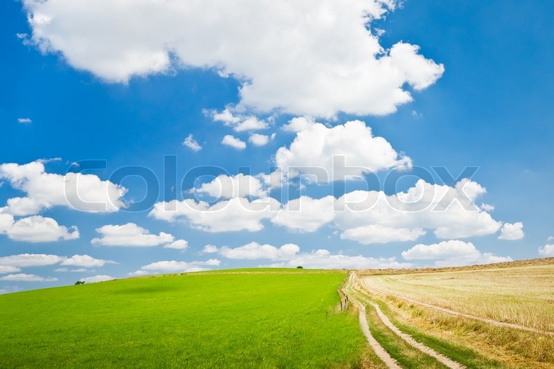 Green farm land with a blue sky | Stock image | Colourbox