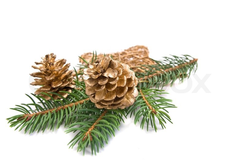 Juledekoration med en guldstjerne | Stock foto | Colourbox