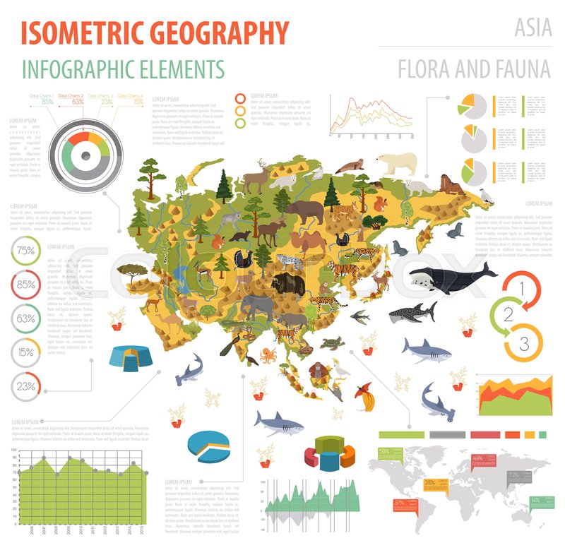 Isometric 3d Asian flora and fauna map ... | Stock vector | Colourbox
