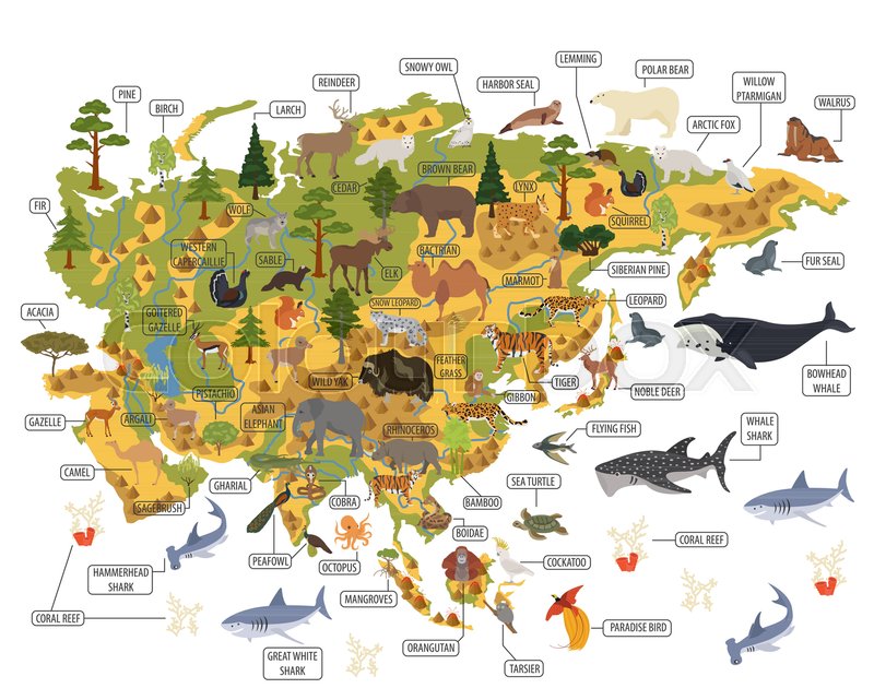 Flat Asian flora and fauna map ... | Stock vector | Colourbox