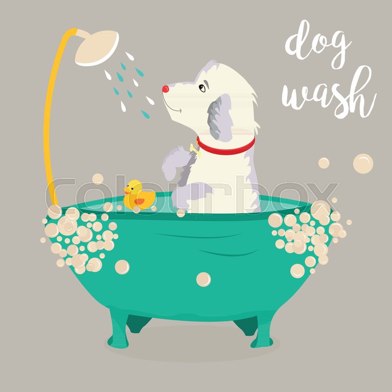 Illustration of a dog taking a shower. ... | Stock vector | Colourbox