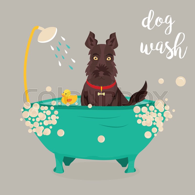 Illustration of a dog taking a shower. ... | Stock vector | Colourbox
