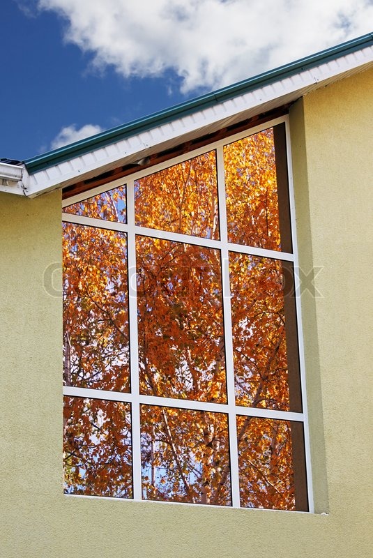 Reflection of birch trees in windows of ... | Stock image | Colourbox