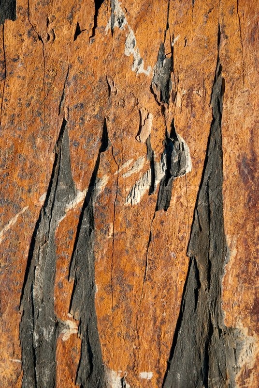 Background texture of earthy colored ... | Stock image | Colourbox