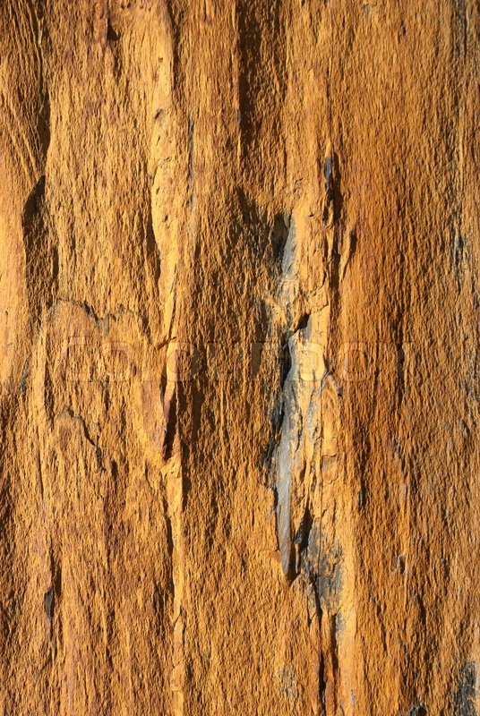 Background texture of earthy colored ... | Stock image | Colourbox