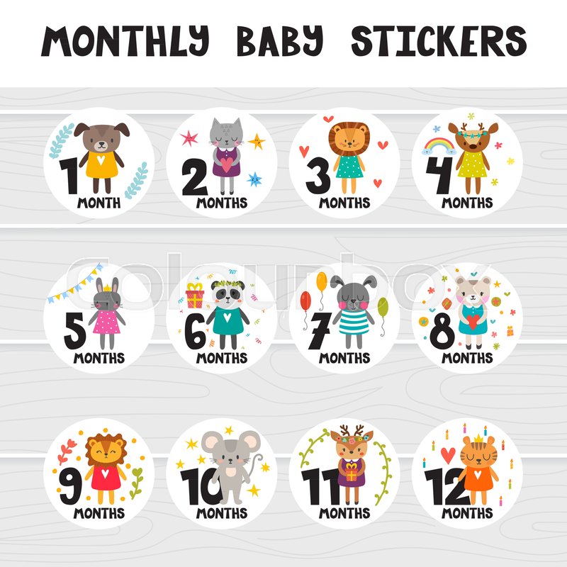 Monthly baby stickers for little girls ... | Stock vector | Colourbox