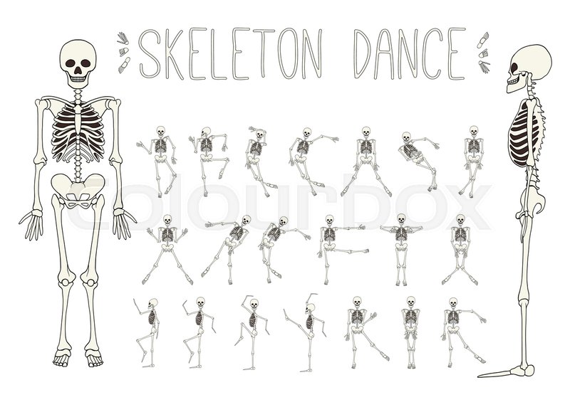 Dancing Skeleton Clip Art Vector