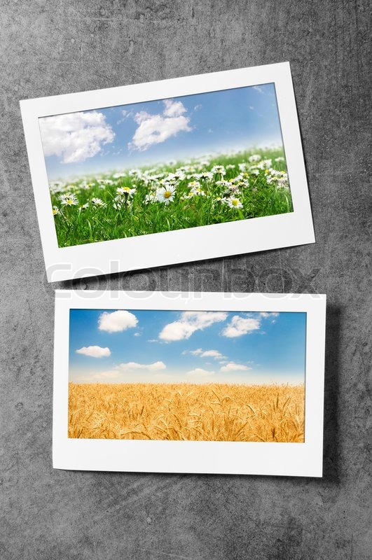 Picture frames with nature photos | Stock image | Colourbox