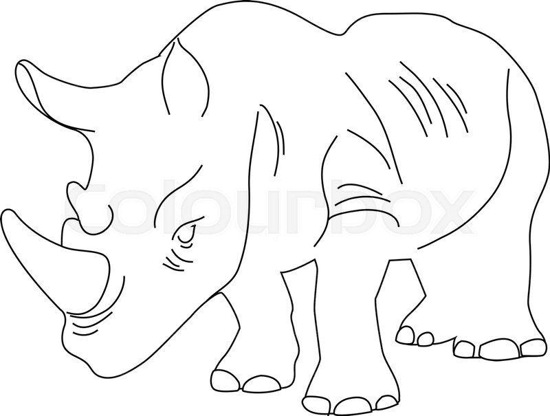 Coloring book line artwork Rino | Stock vector | Colourbox