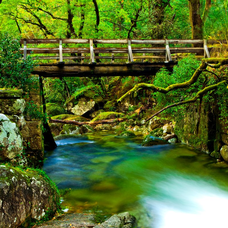 Beautiful river flowing by the forest ... | Stock image | Colourbox