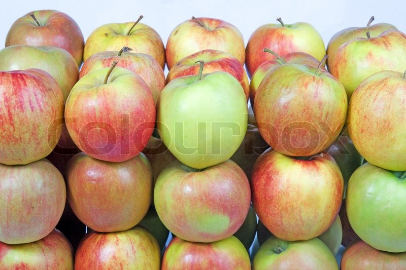 Group of apples in a row | Stock Photo | Colourbox