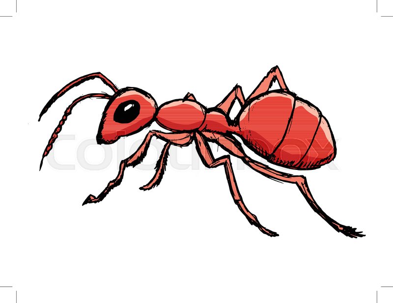 Red Ant