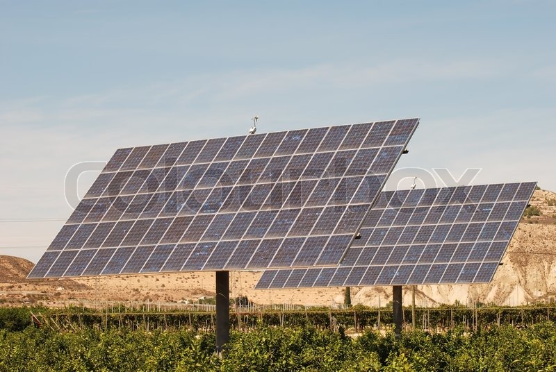 Solar panels in orange plantation, ... | Stock image | Colourbox