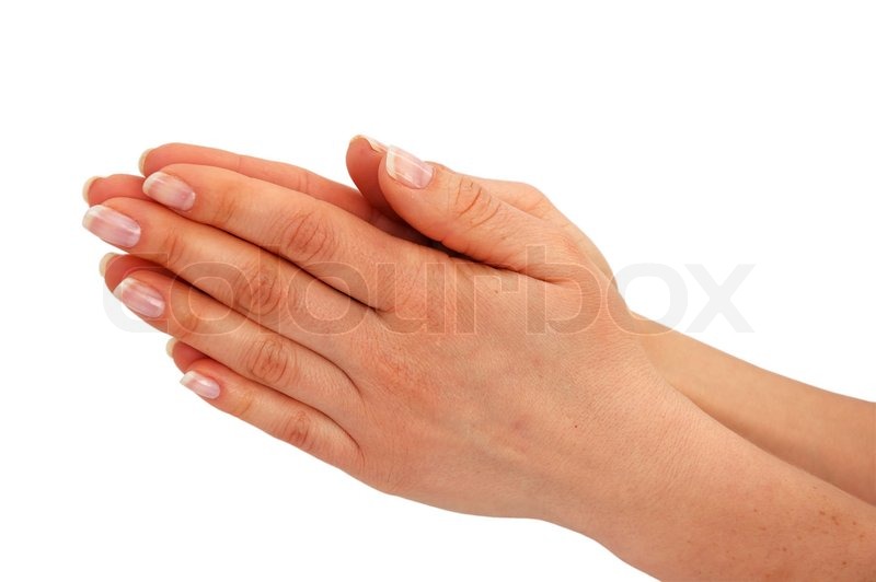 Praying Hands isolated on white background | Stock Photo | Colourbox