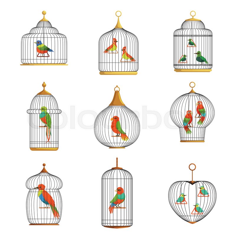 Colorful birds in cages set vector ... | Stock vector | Colourbox