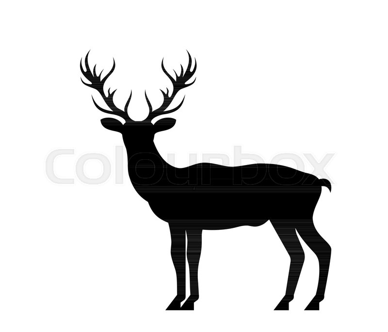 Hjort, pels, mand | stock vektor | Colourbox