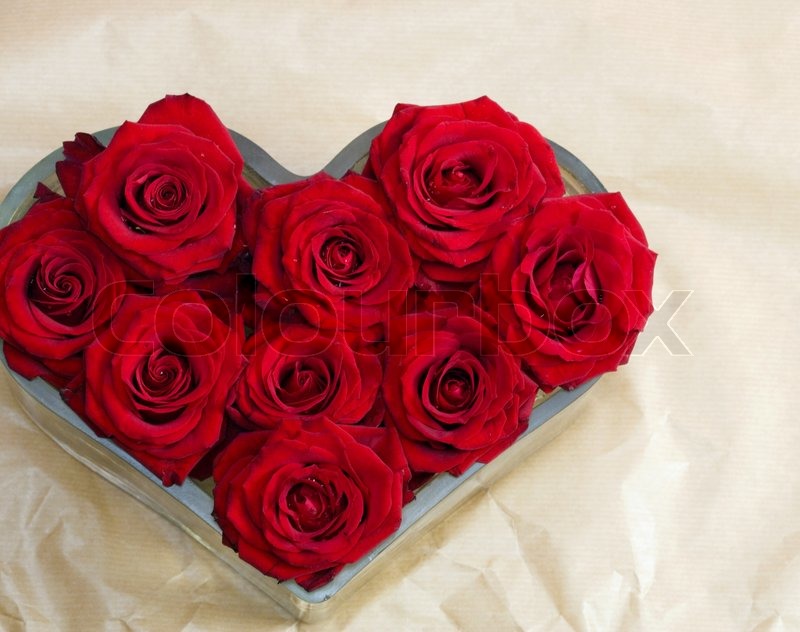 Heart-shaped roses | Stock image | Colourbox