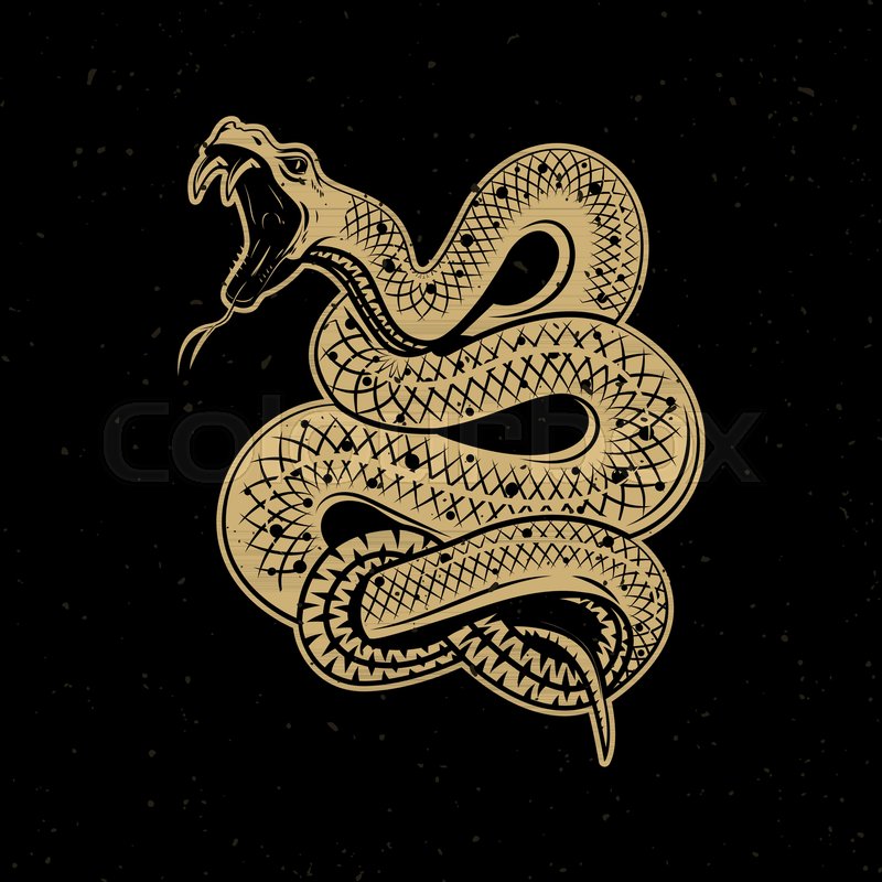 Snake Graphic Design