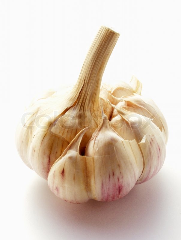Knoblauch isoliert auf weißem ... | Stock Bild | Colourbox