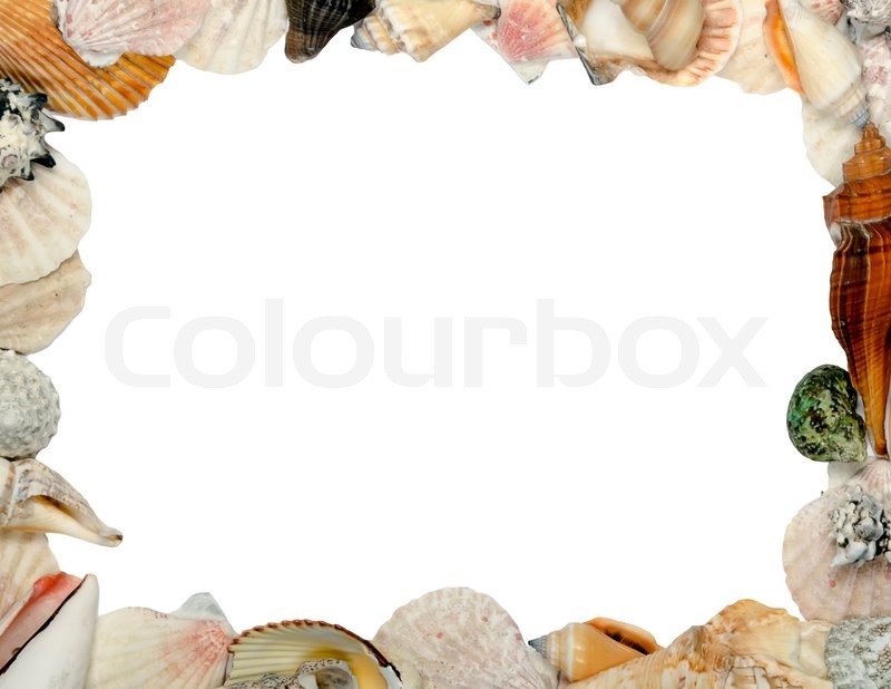 Frame made of shells, place for text | Stock image | Colourbox