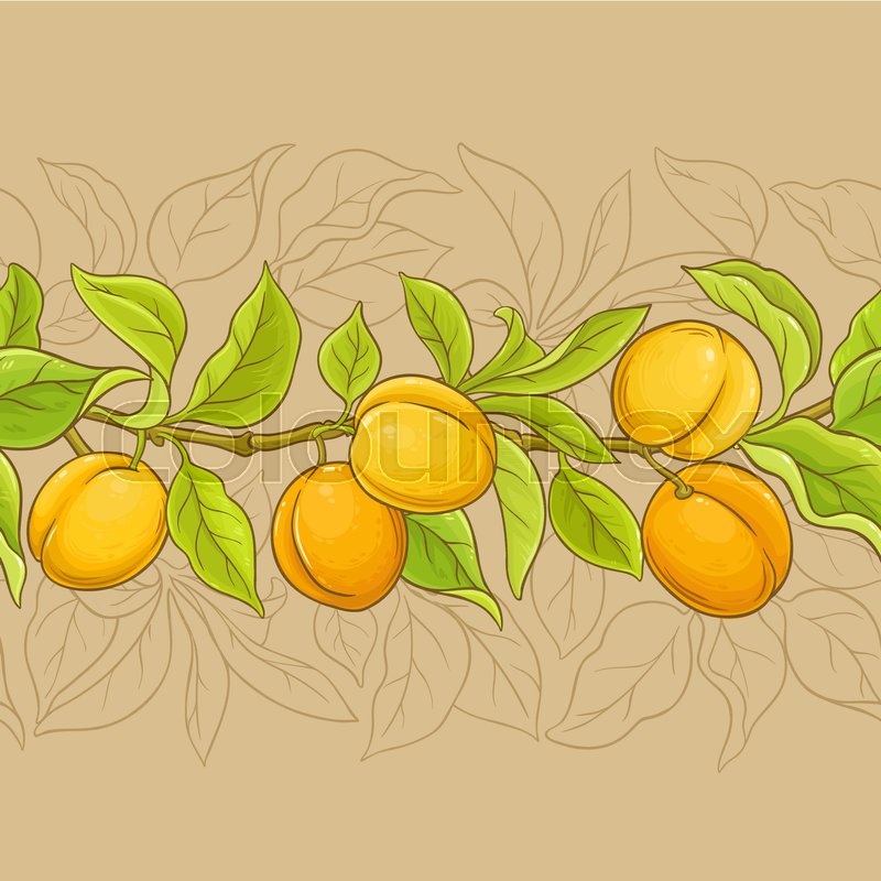 Apricot branches vector pattern on ... | Stock vector | Colourbox