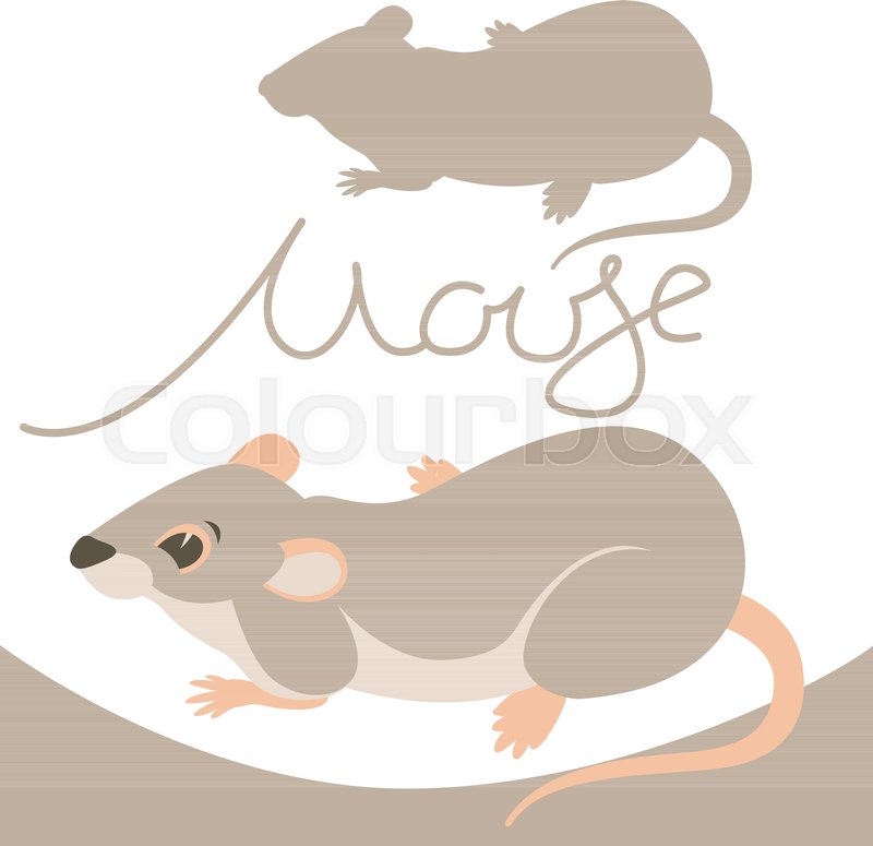Mouse vector illustration flat style ... | Stock vector | Colourbox