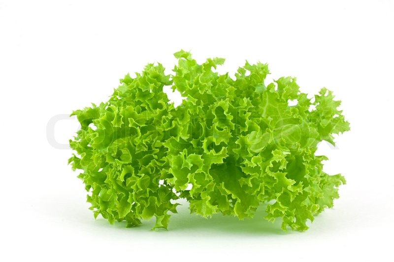 Salatblad isoleret på hvid baggrund | Stock foto | Colourbox