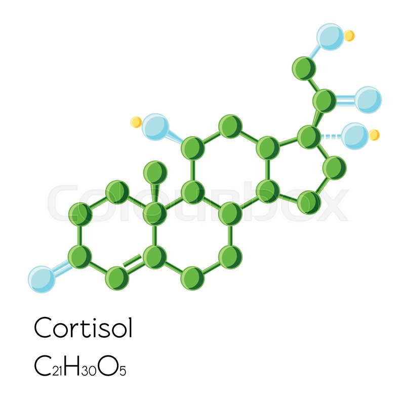 Cortisol hormone structural chemical ... | Stock Vector | Colourbox