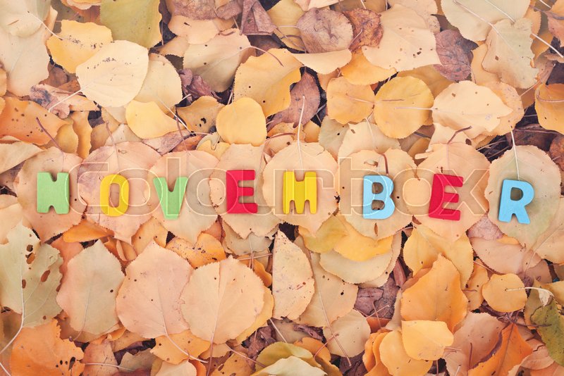 Colorful word November on a leaves. | Stock image | Colourbox