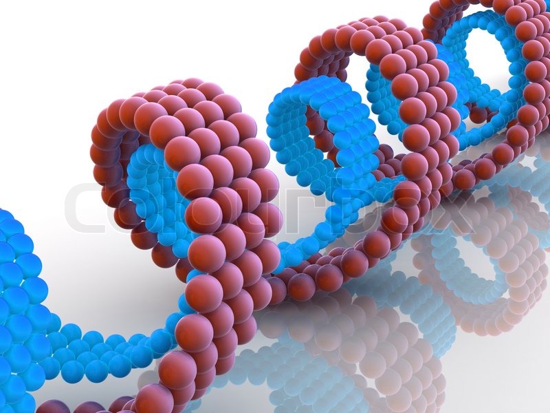 Gene in DNA. 3d | Stock image | Colourbox