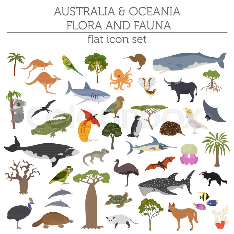 Oceania Animals