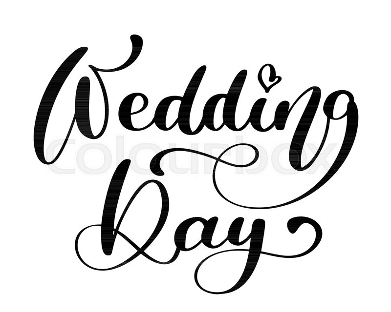Wedding day vector text on white ... | Stock vector | Colourbox