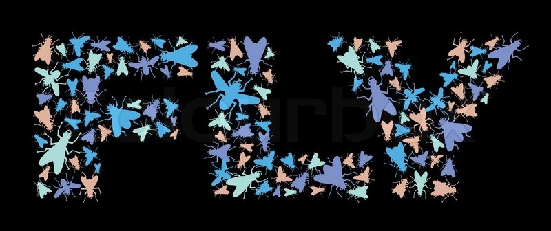 Colorful insects forming word fly on ... | Stock vector | Colourbox