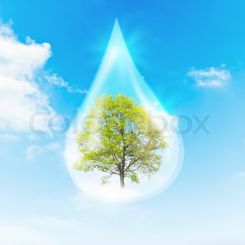 Green Tree inside a clean drop of water ... | Stock image | Colourbox