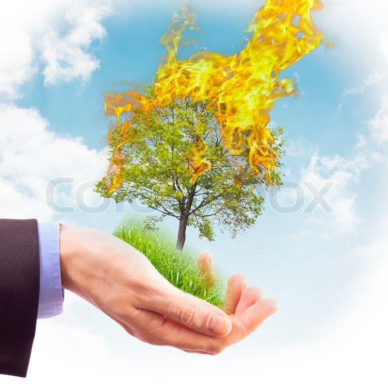 Human hand holding a piece of nature in ... | Stock image | Colourbox