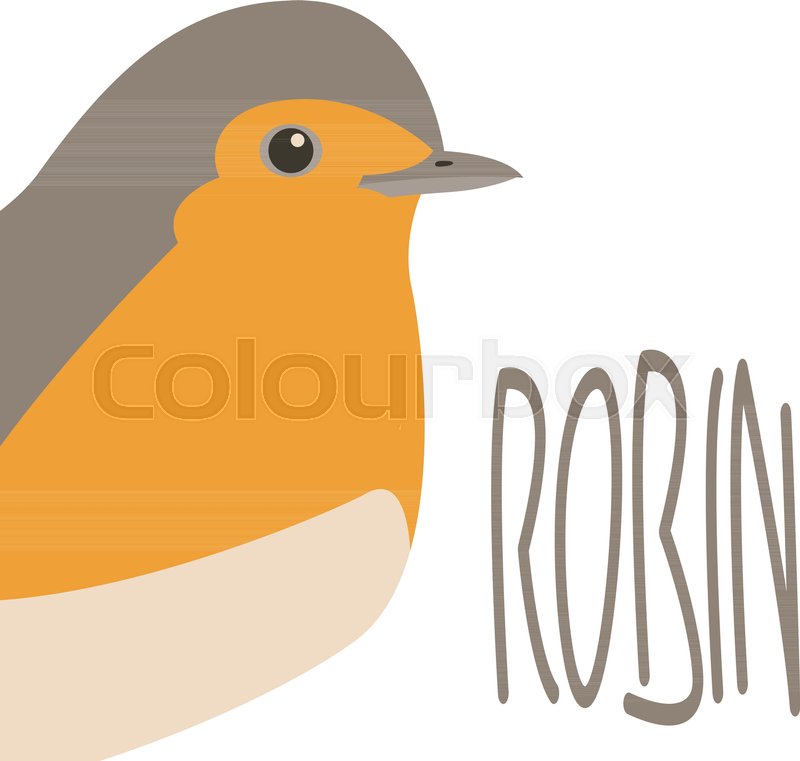 Robin song bird vector illustration ... | Stock vector | Colourbox