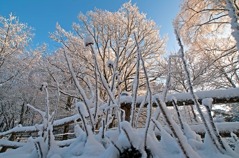 Vinter | Stock foto | Colourbox