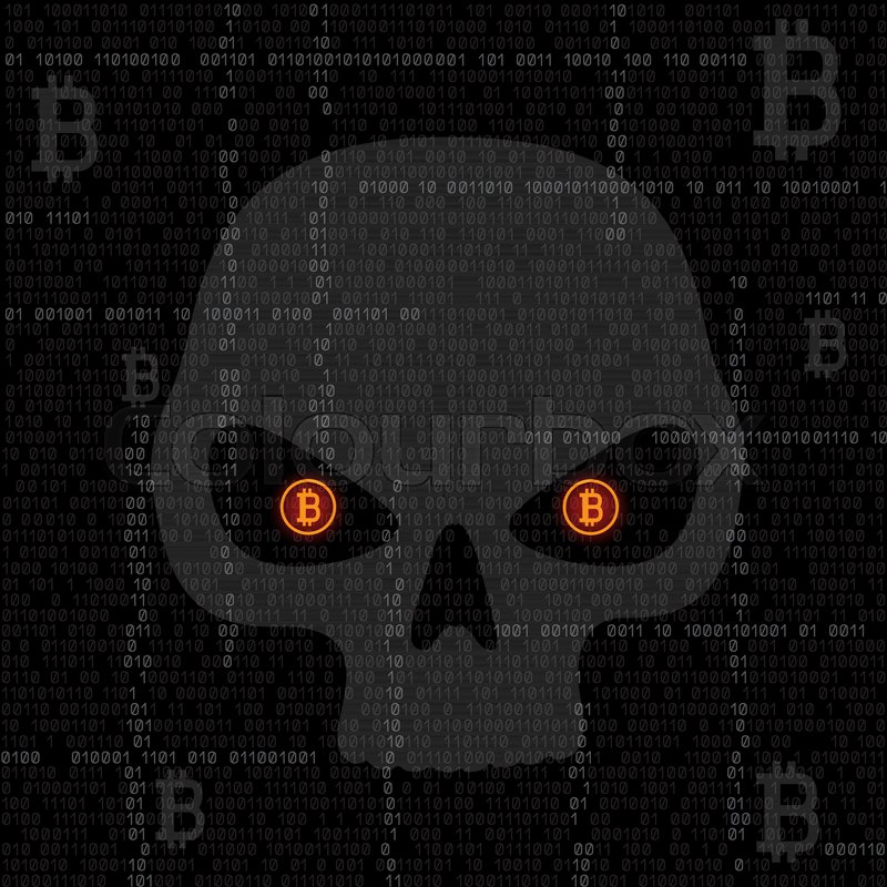 Hacking Skull Logo