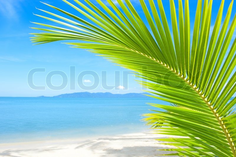 Ferie baggrund smuk tropisk strand med ... | Stock foto | Colourbox