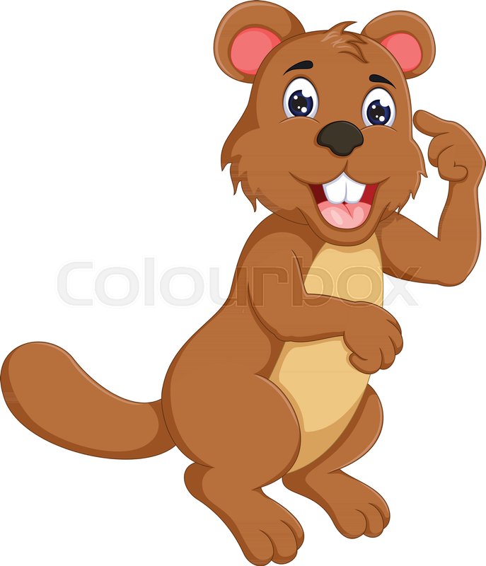 Vector illustration of cute marmot ... | Stock vector | Colourbox