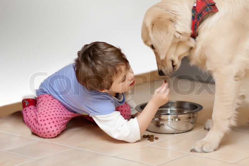 Nettes Kind füttert seine Hund | Stock Bild | Colourbox
