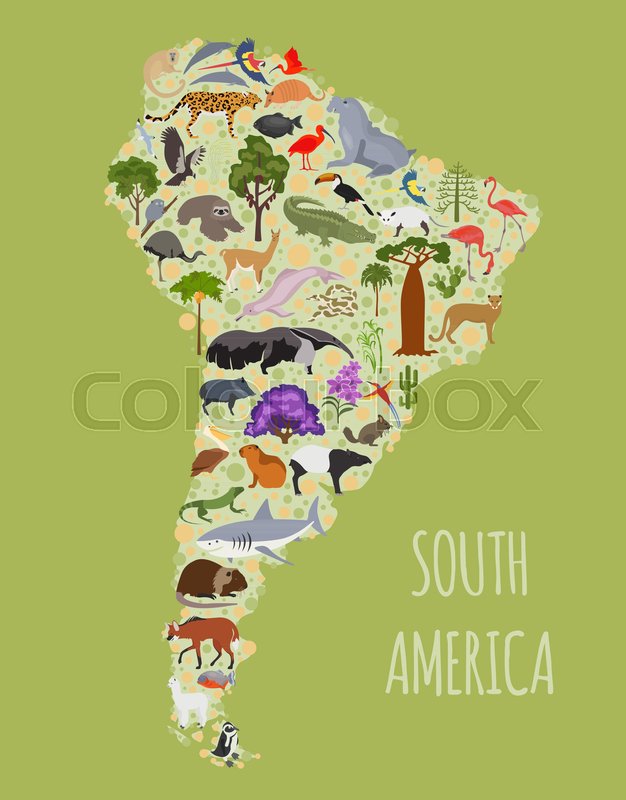 South America flora and fauna map, ... | Stock vector | Colourbox
