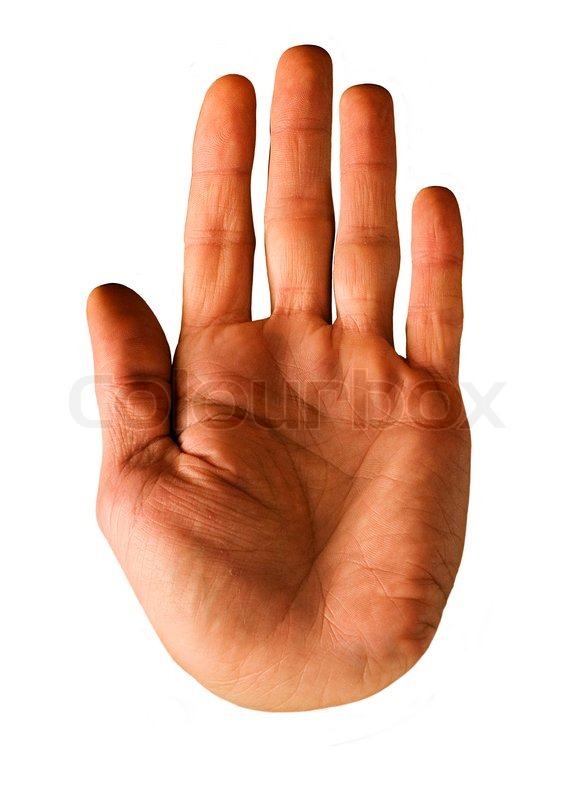 Isolated male hand | Stock image | Colourbox