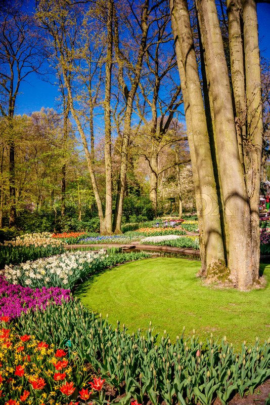 Beautiful park. Landscaped Formal ... | Stock image | Colourbox