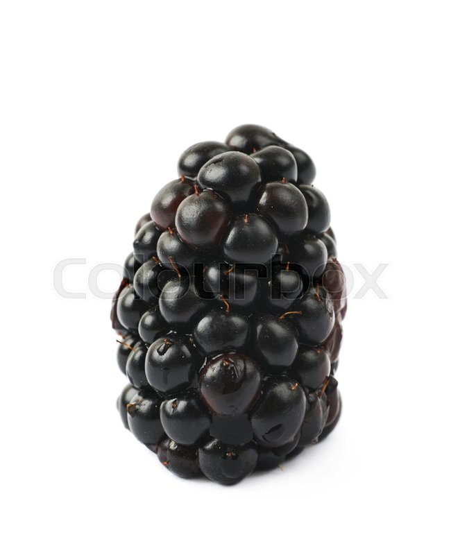 White Blackberry Fruit