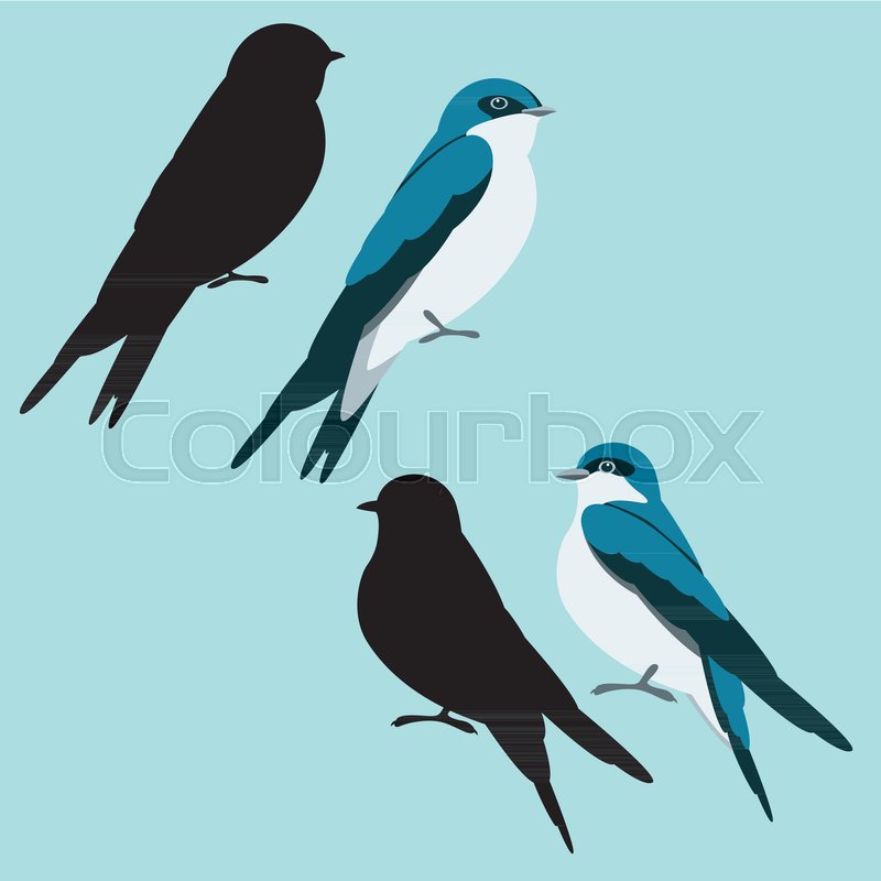 Swallow bird vector illustration flat ... | Stock vector | Colourbox