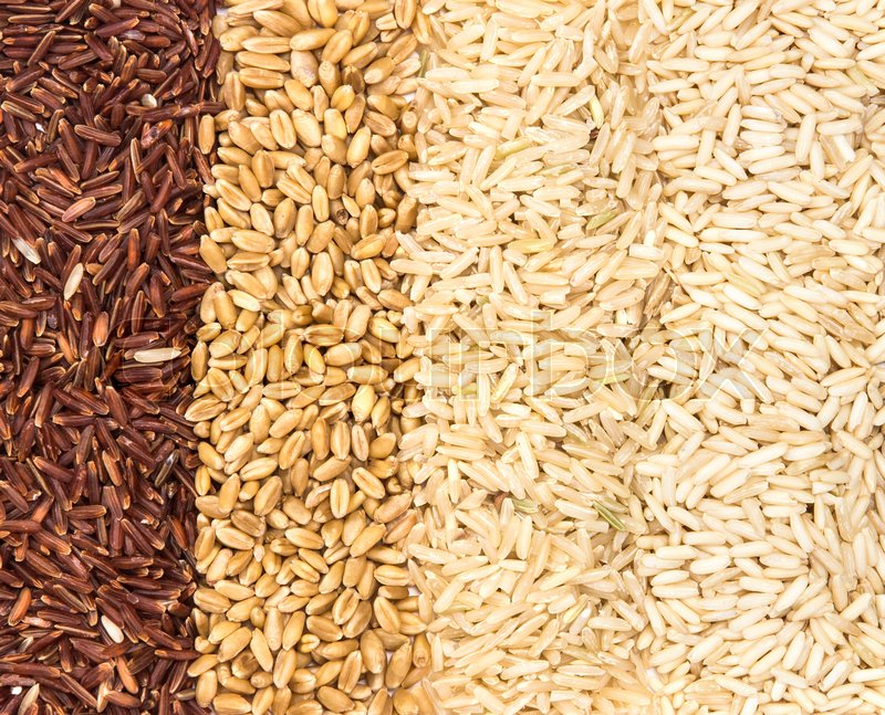 The Variety rows of grain rice; coarse ... | Stock image | Colourbox