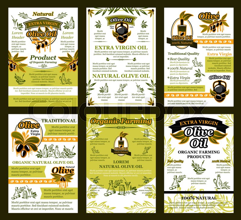 Olive oil posters or brochure design ... | Stock vector | Colourbox